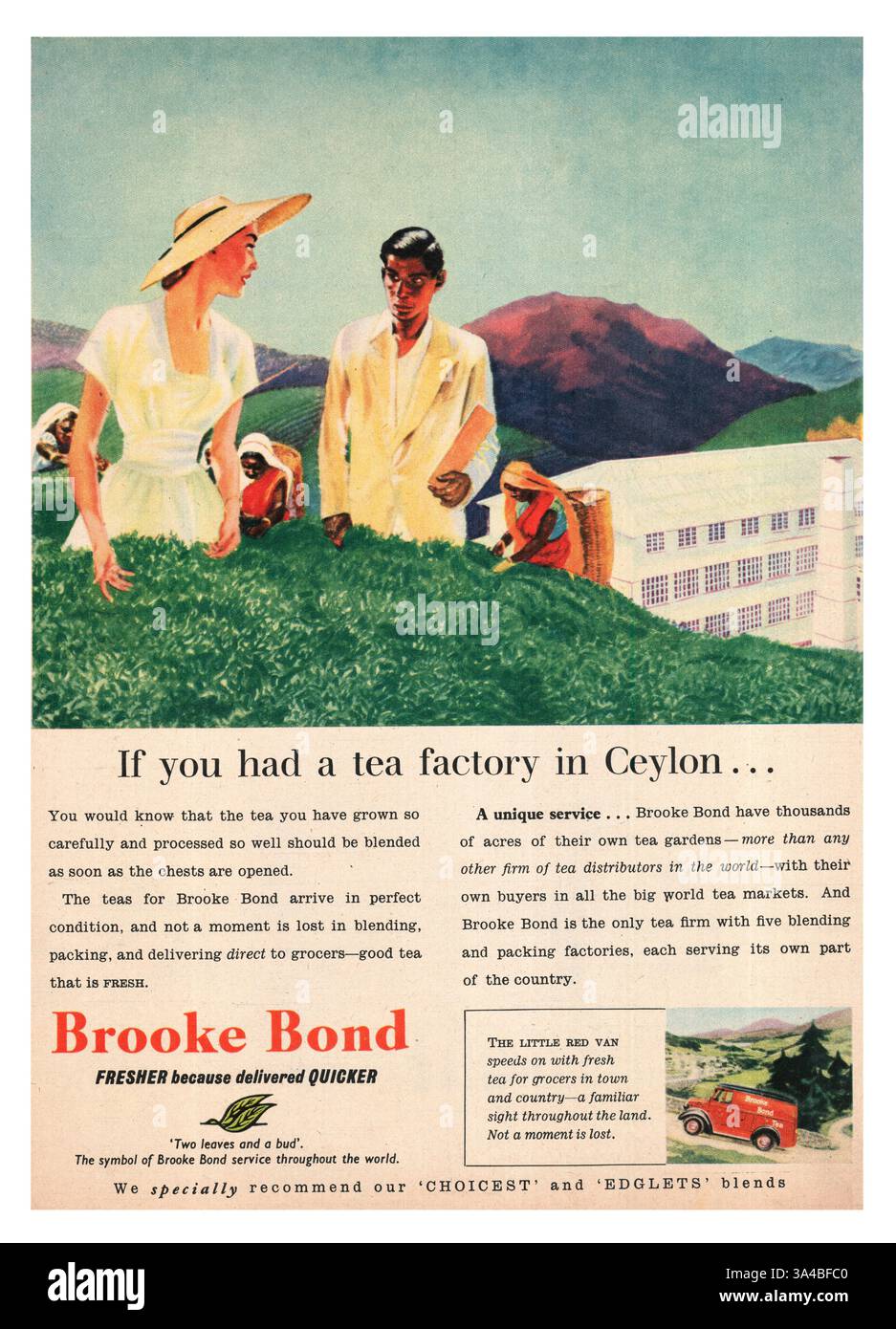 1953 UK magazine advert Brooke Bond tea Stock Photo - Alamy
