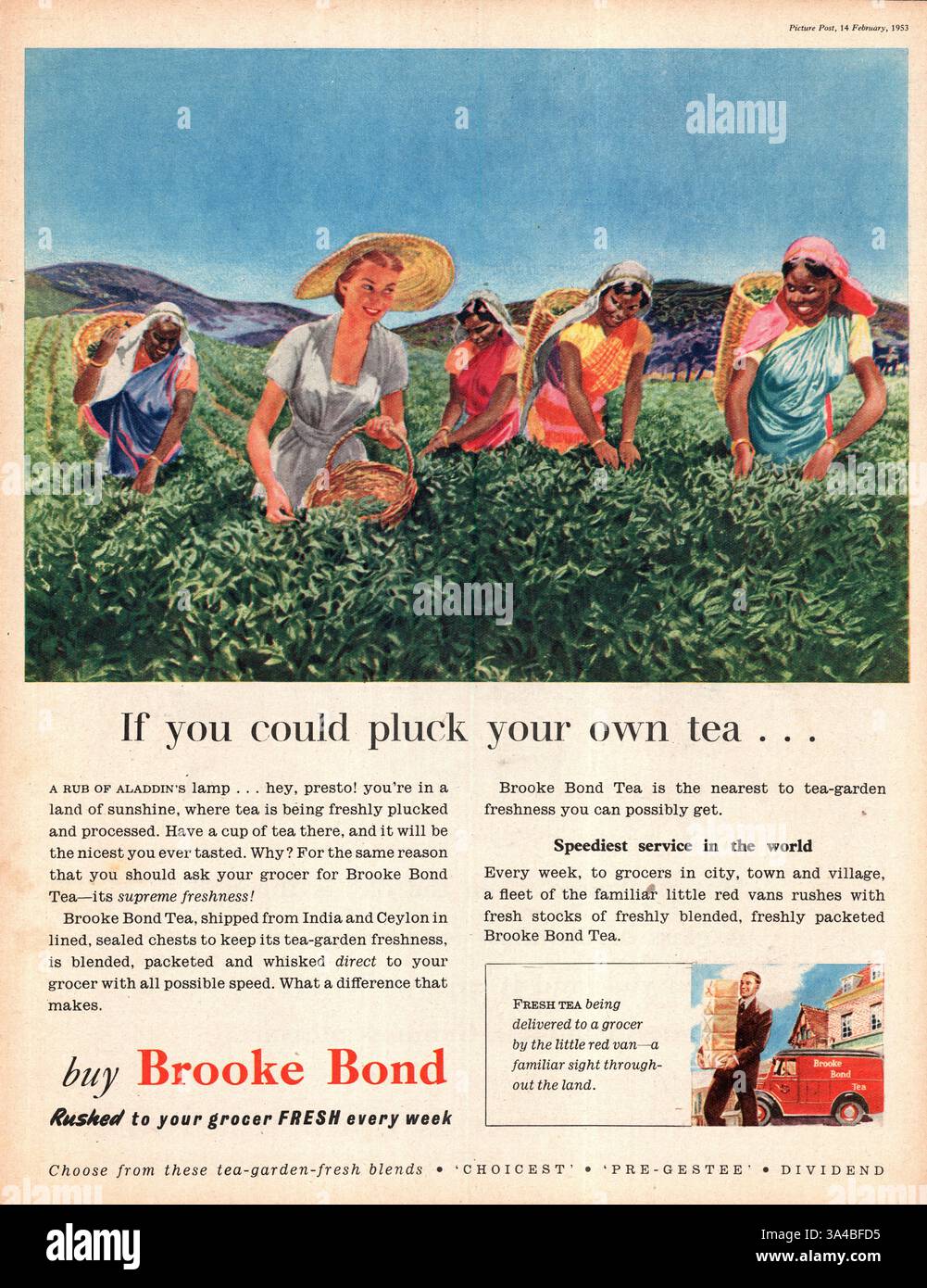 Lipton teas ad hi-res stock photography and images - Alamy