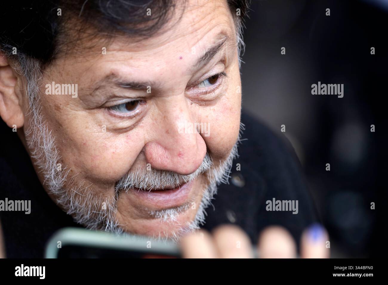 The President of the Senate of Mexico, Gerardo Fernandez NoroÃ±a ...