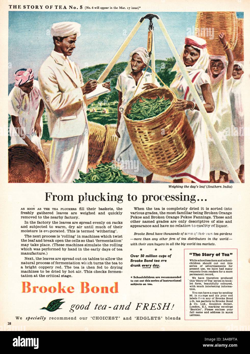 Brooke bond hi-res stock photography and images - Alamy