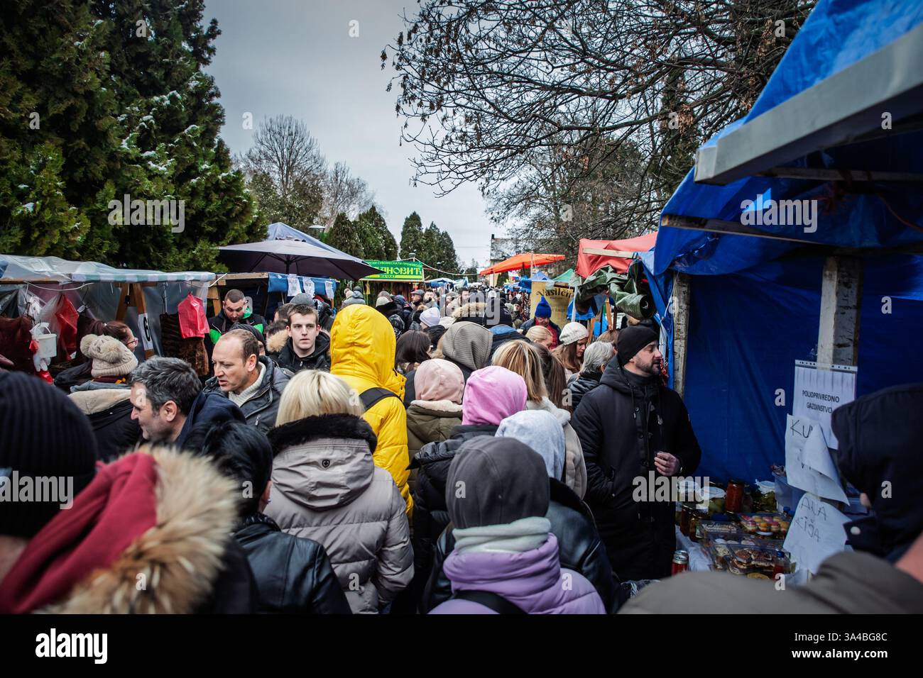 KACAREVO, SERBIA - FEBRUARY 22, 2025: bustling crowd gathers at the ...