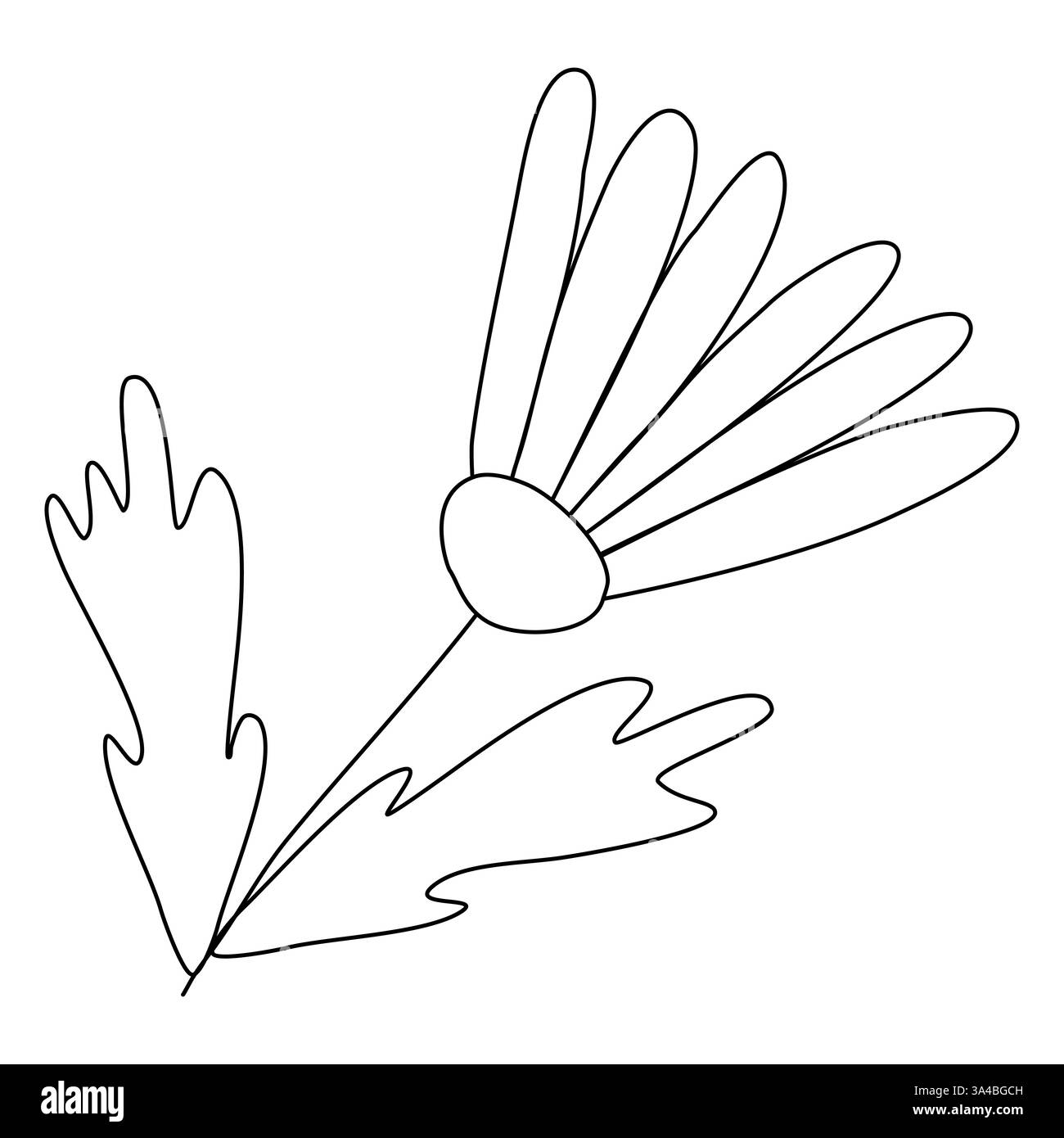 Calendula or camomile flower blooming with leaves and stem, doodle ...