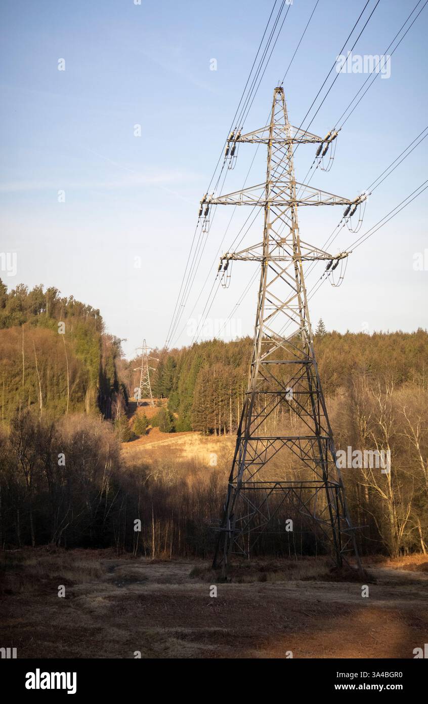 Pylon trees woods hi-res stock photography and images - Alamy