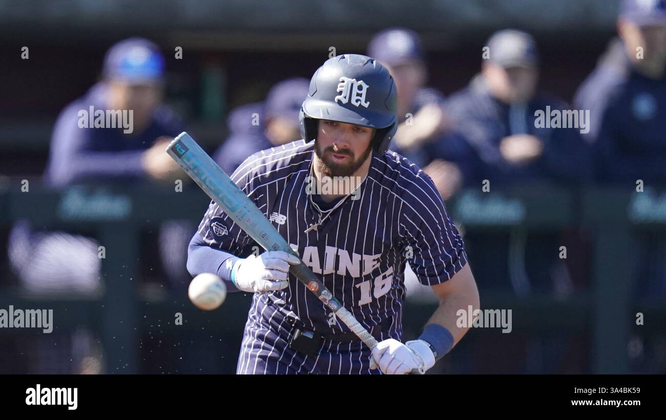 Maine utility Payton Whitehead (16) bats during an NCAA baseball game ...