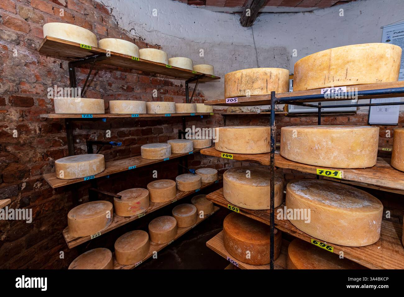 Cheese in ripening cellar on familiar industry on countryside of Minas ...