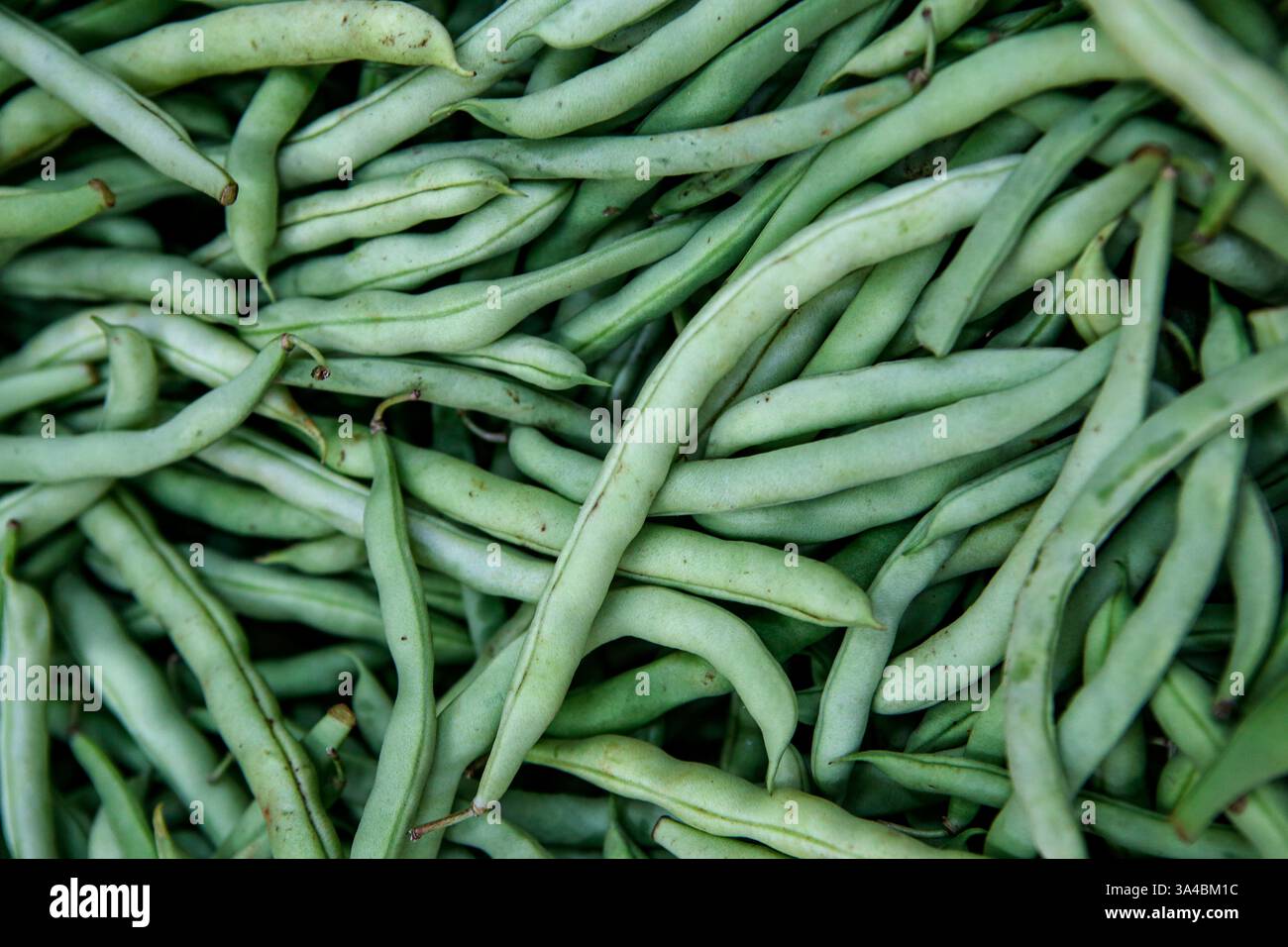 Close-up green beans in food market. Top view. Healthy food. Vegetable ...