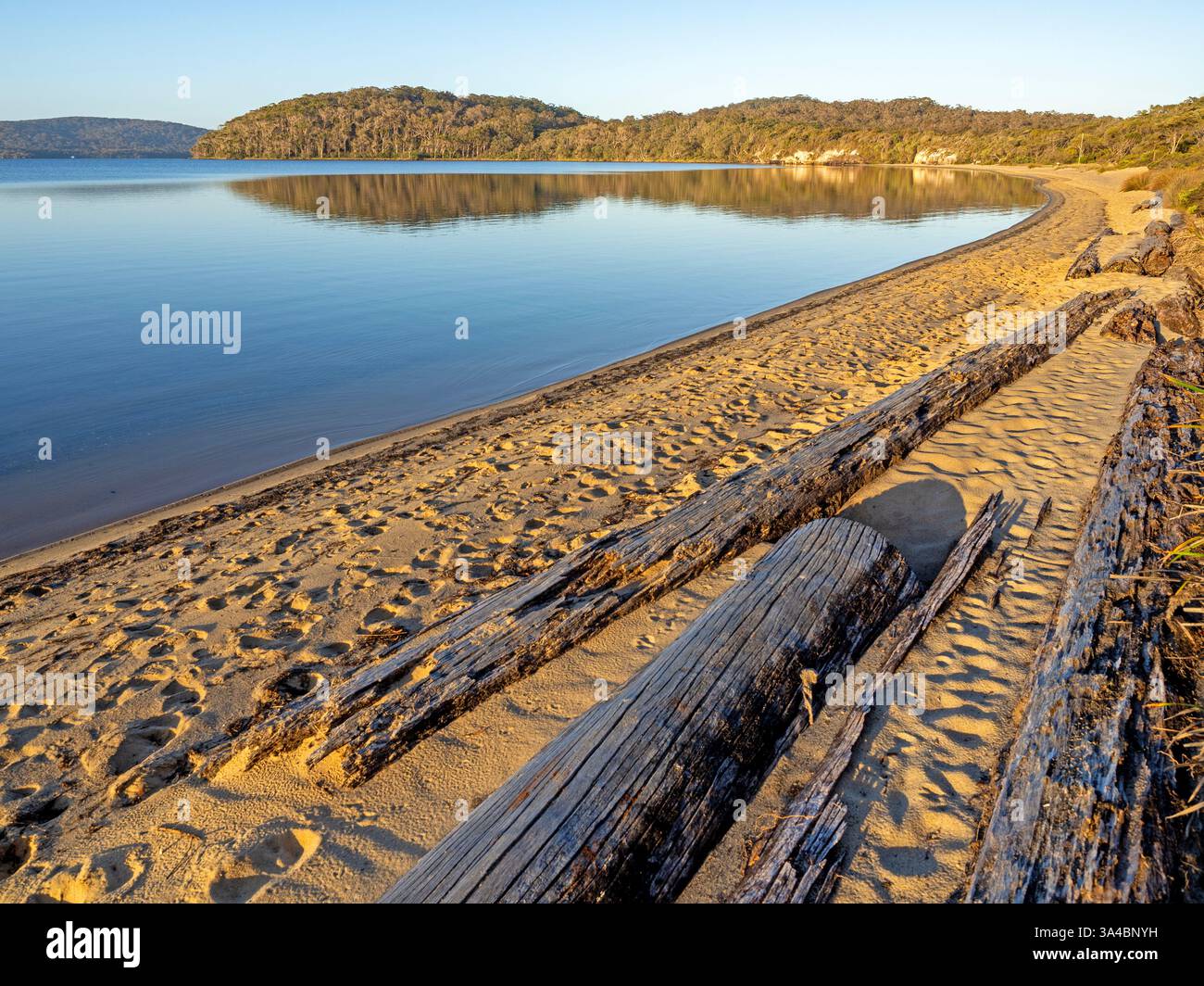 Coalmine beach hi-res stock photography and images - Alamy