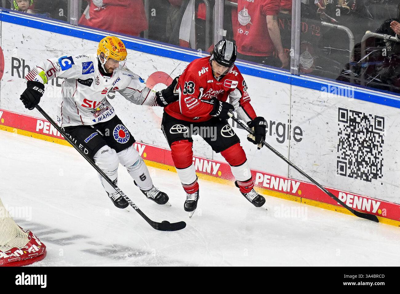 Eishockey DEL - 24/25 -Playoff-Viertelfinale Spiel 2: Kölner Haie vs ...