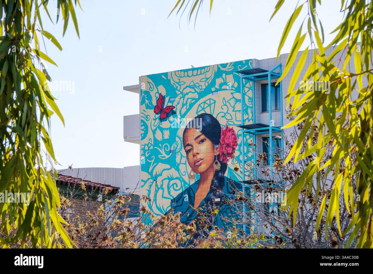 Colorful murals in downtown Tucson, Arizona Stock Photo - Alamy