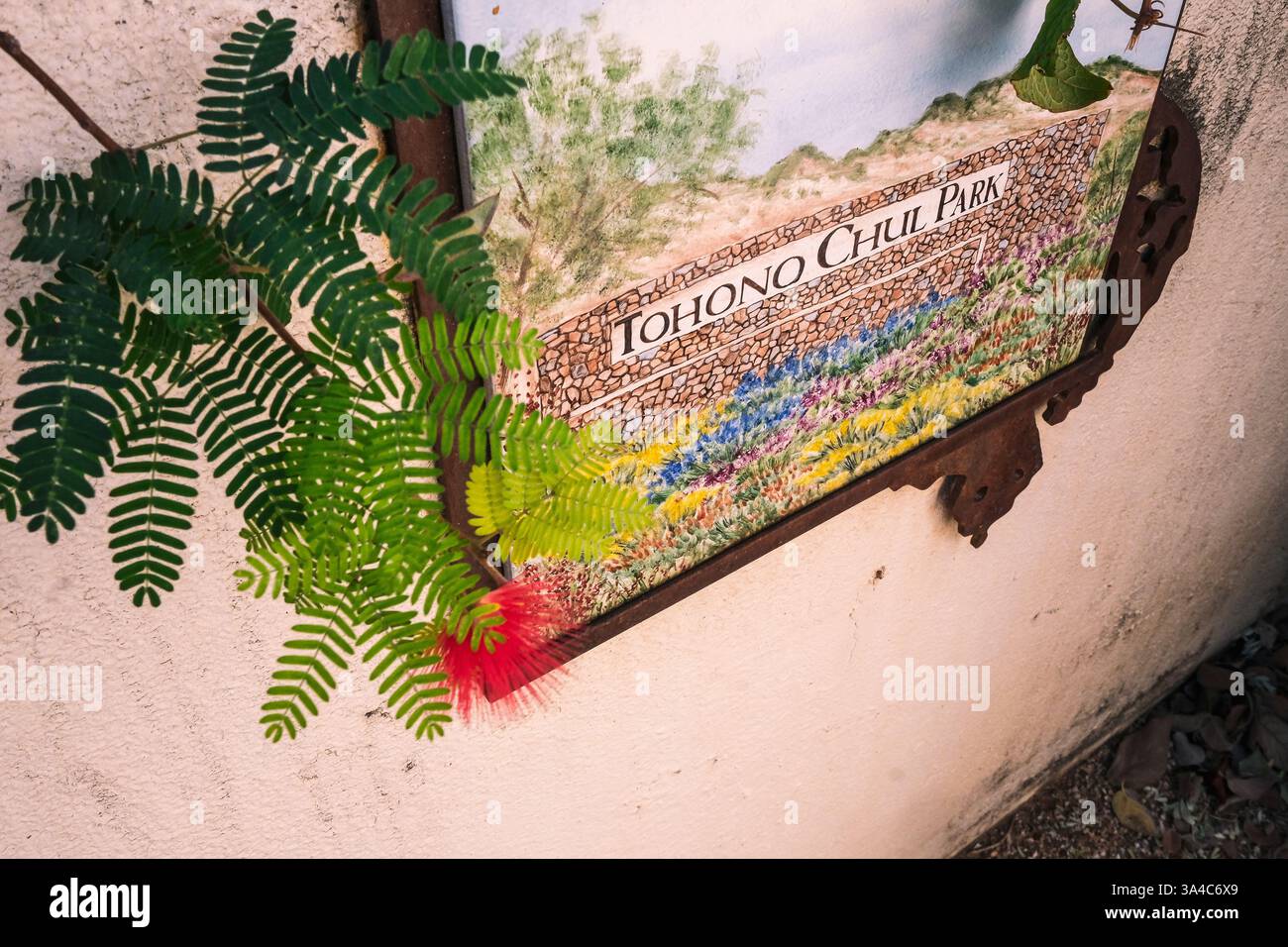 Sign at Tohono Chul Park, a botanical gardens in Tucson, Arizona Stock ...