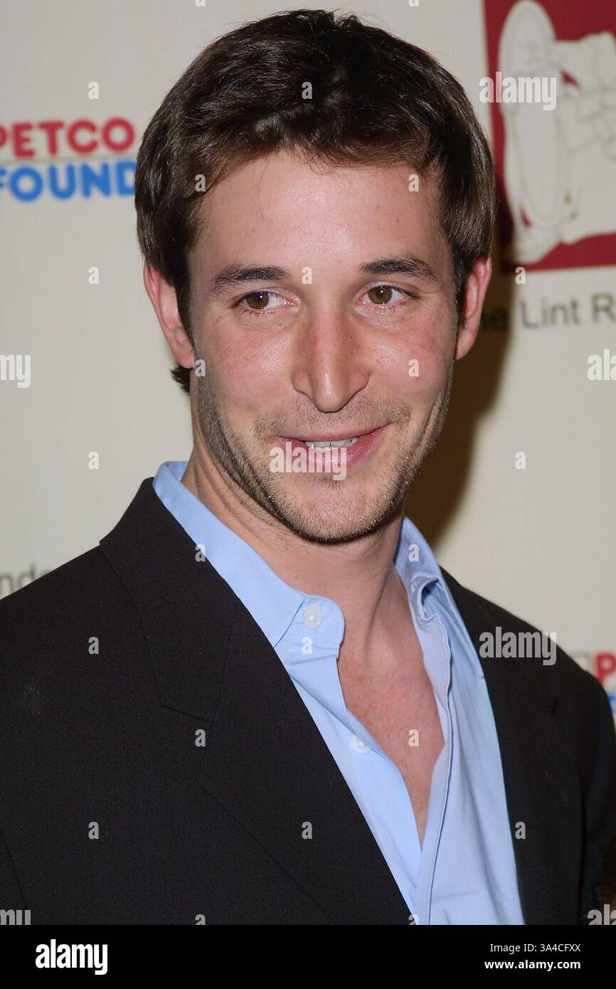 Noah wyle friends hi-res stock photography and images - Alamy