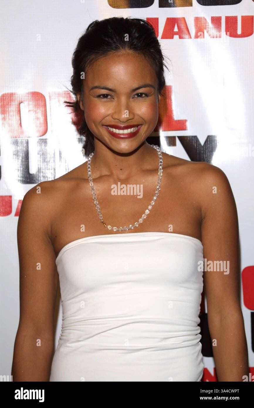 Jan. 15, 2003 - Westwood, CALIFORNIA, USA - K28529TR .WORLD PREMIERE OF COLUMBIA PICTURES ...