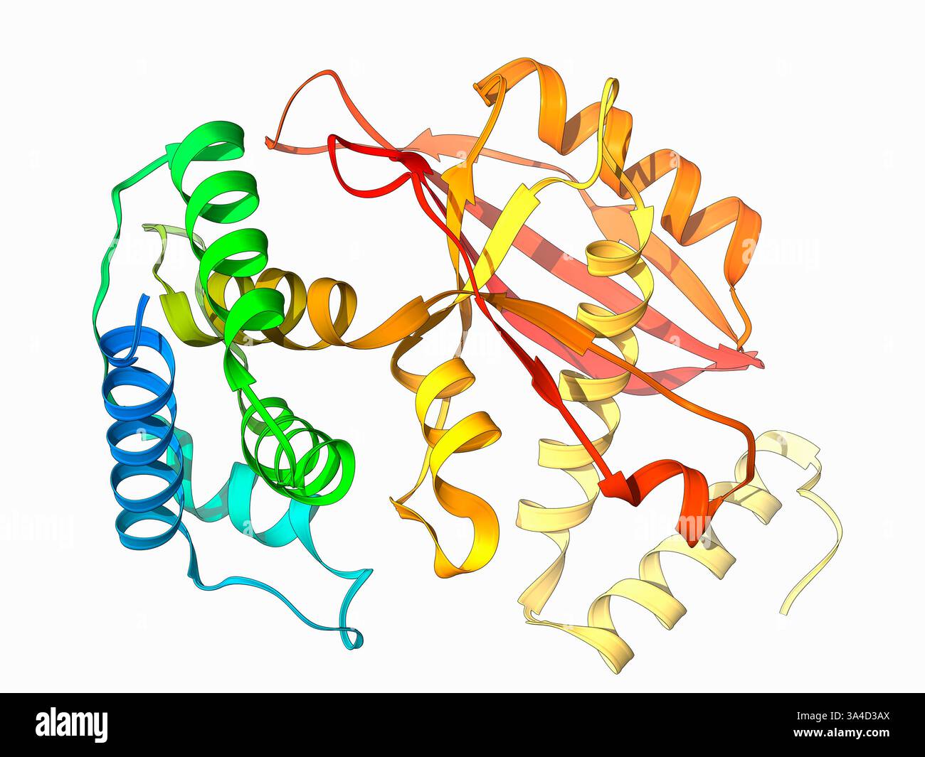 Molecular model of the nucleotidyltransferase toxin MenT3 from Mycobacterium tuberculosis H37Rv ...