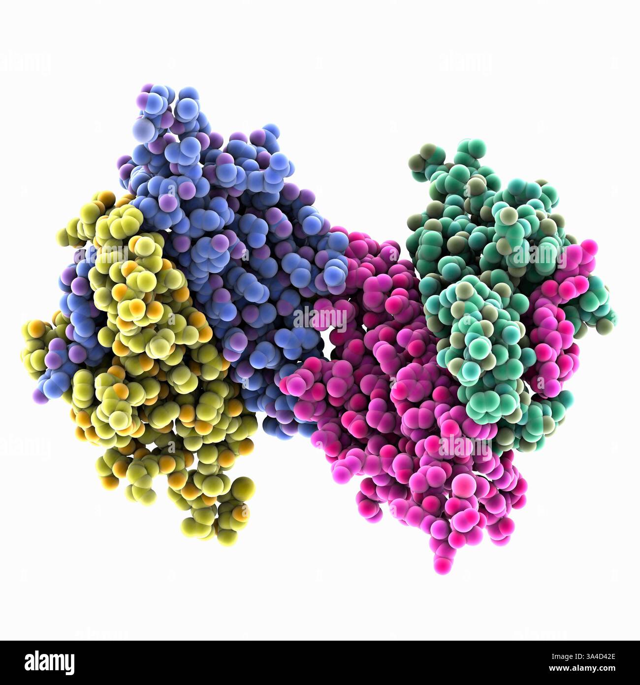 Molecular model of the bacteriophage MS2 (Emesvirus zinderi) capsid ...