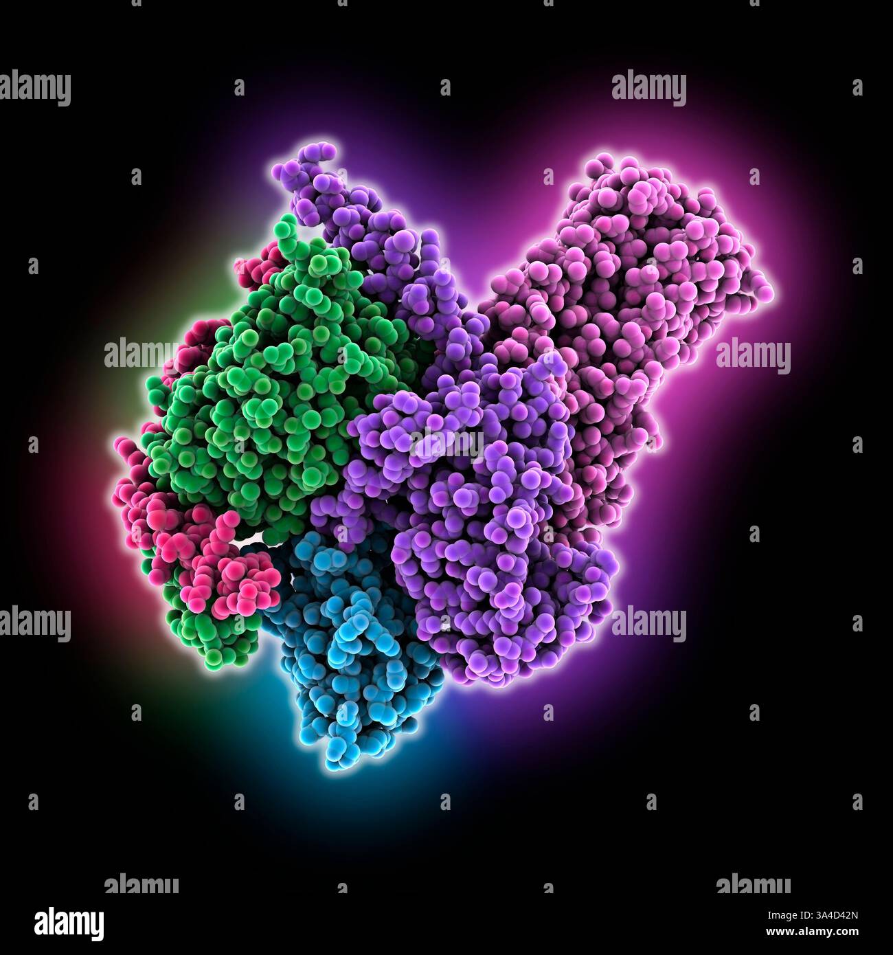 Molecular model of a histamine H2 receptor complexed with histamine and ...