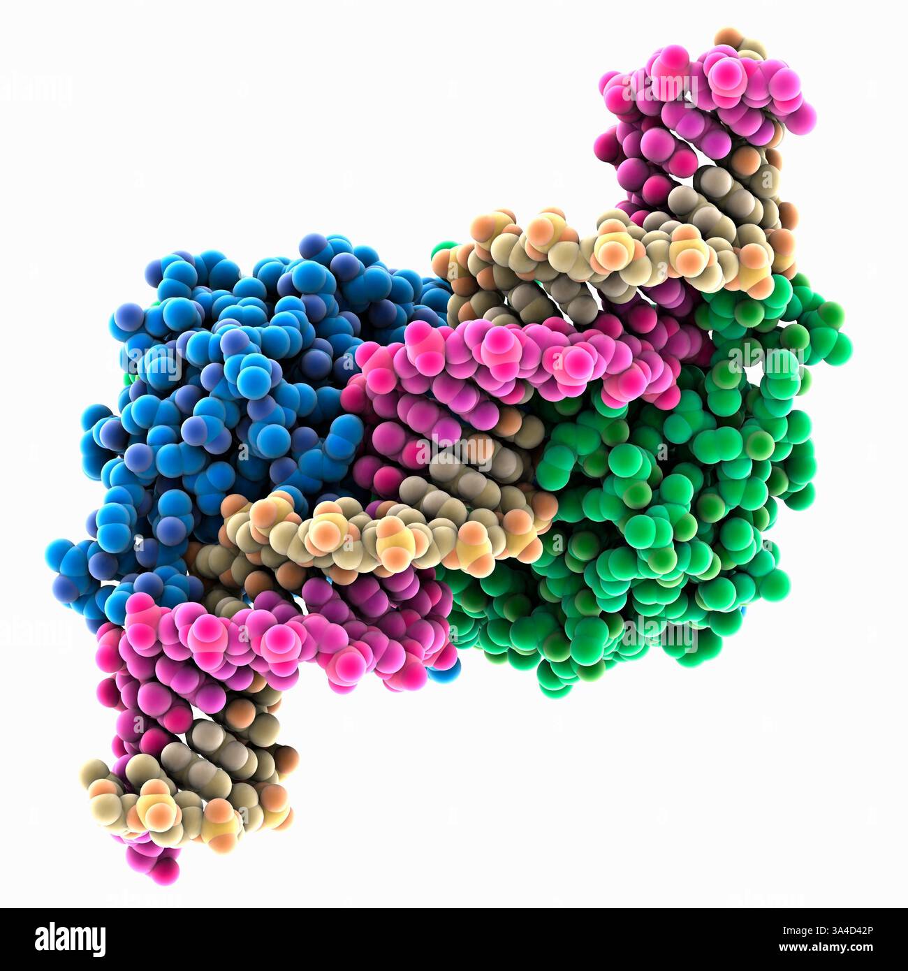 Molecular model of the transcriptional regulator PecS (Purine-responsive transcriptional ...