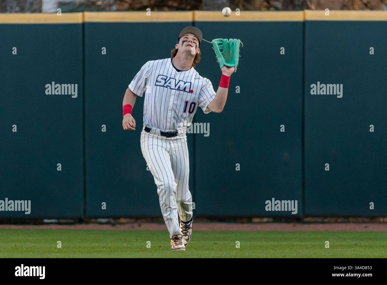 Samford outfielder Trey Higgins (10) tracks down a fly ball for an out ...