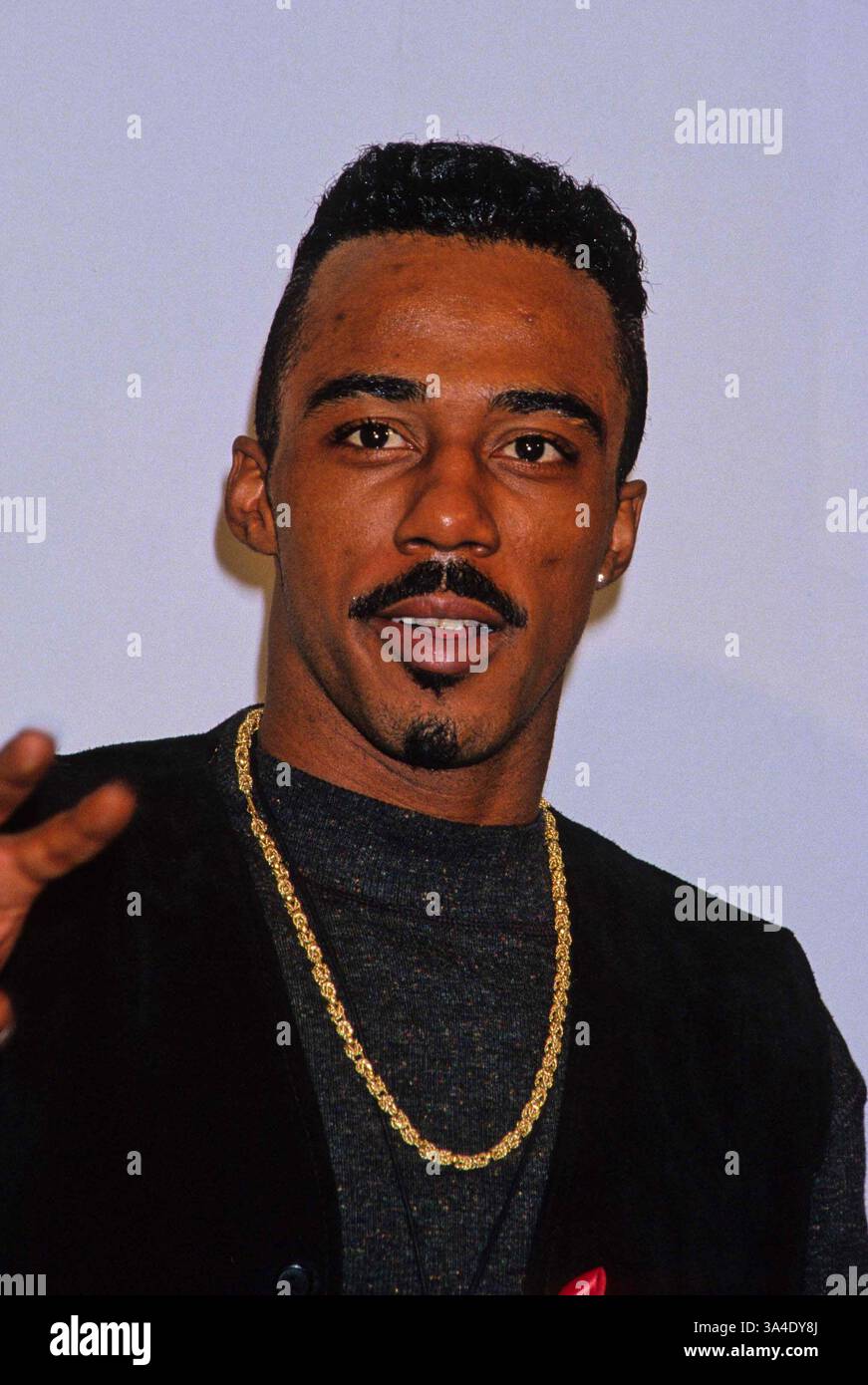 May 14, 2008 - L7803LR.SOUL TRAIN AWARDS.RALPH TRESVANT. LISA ROSE ...