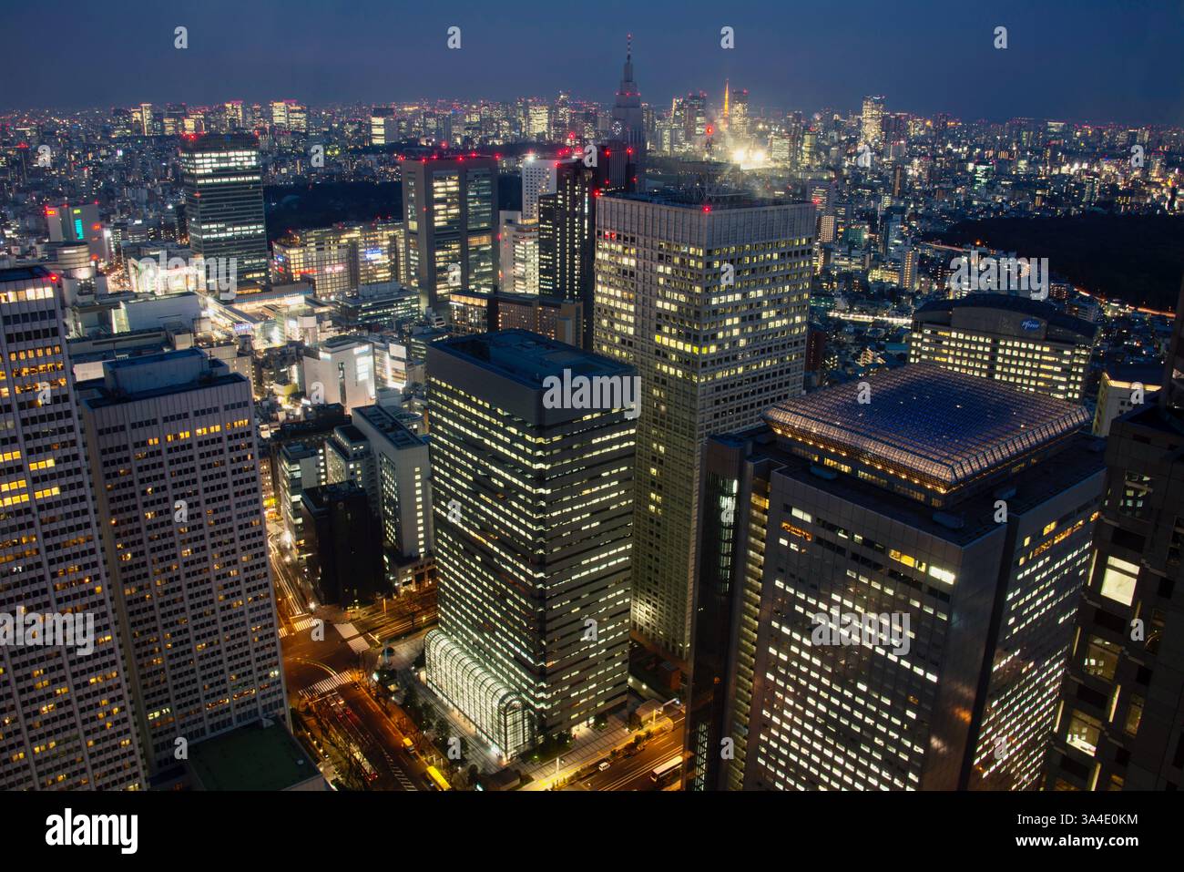 Photo shows the view over Tokyo from the metropolitan buildings in the Shinjuku district of ...