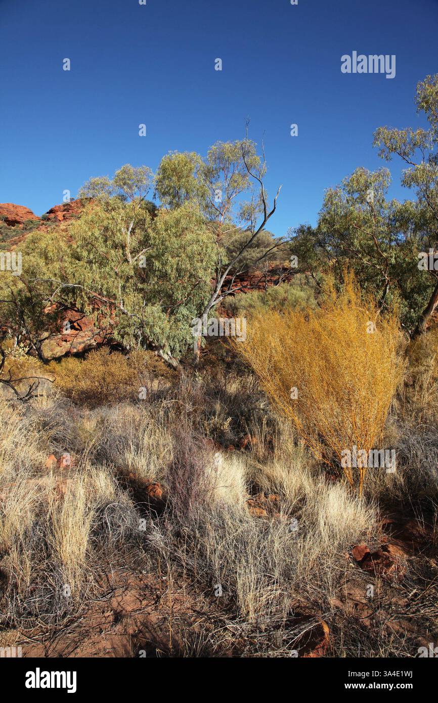 Norhtern territory hi-res stock photography and images - Alamy