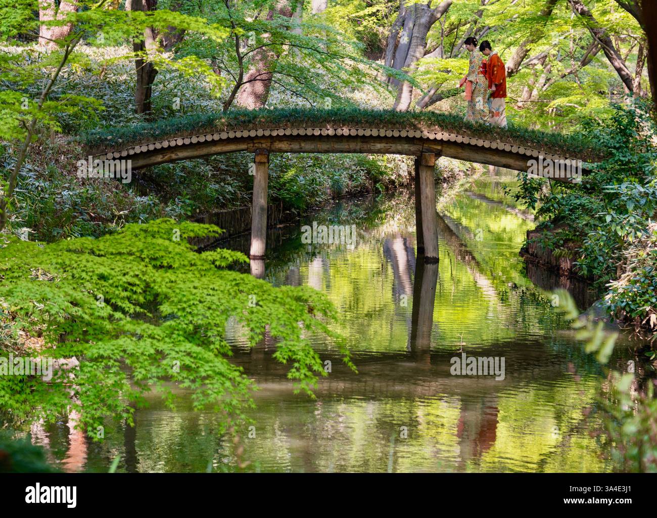Two women dressed in colorful kimono take a stroll through the grounds of Rikugien in the ...