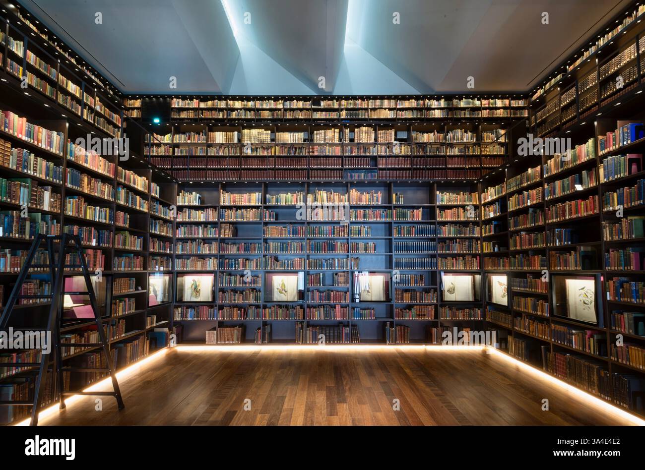 Photo shows the library inside the Toyo Bunko (Oriental Library) in the ...