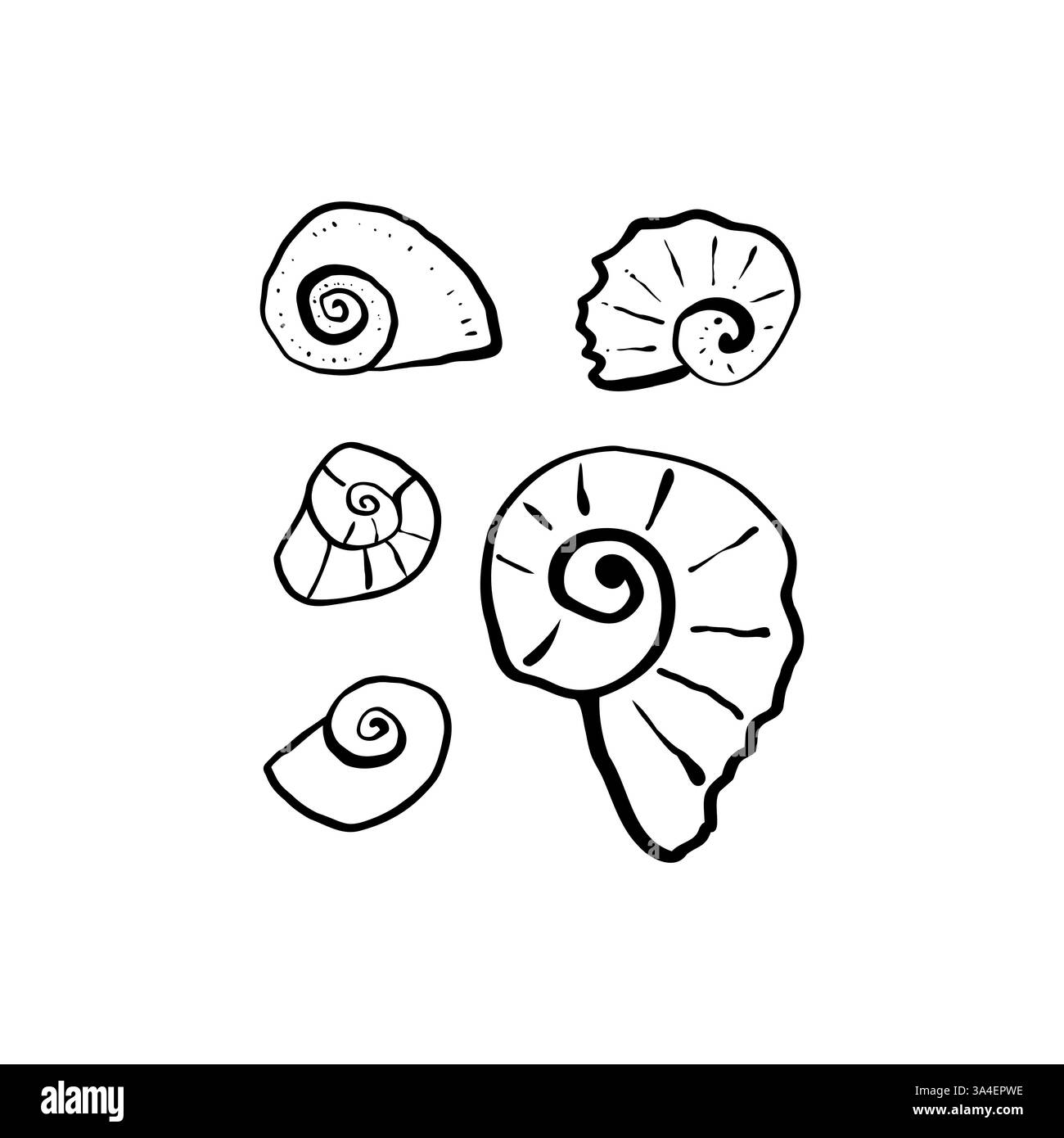 Hand drawn sea shells set in doodle sketchy style. Line art sea shell ...