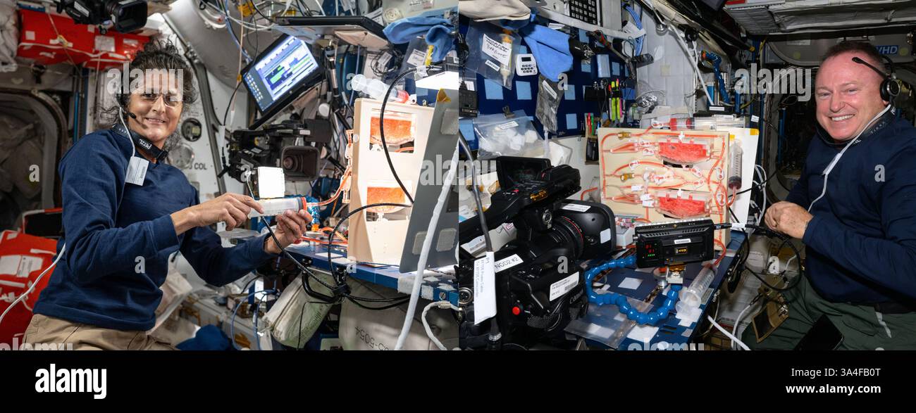 Earth Atmosphere. 23rd Aug, 2024. (From left) NASA astronauts Suni ...