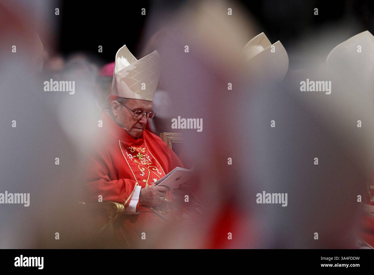 June 8, 2014 - Vatican City State (Holy See) - A cardinal attend the ...
