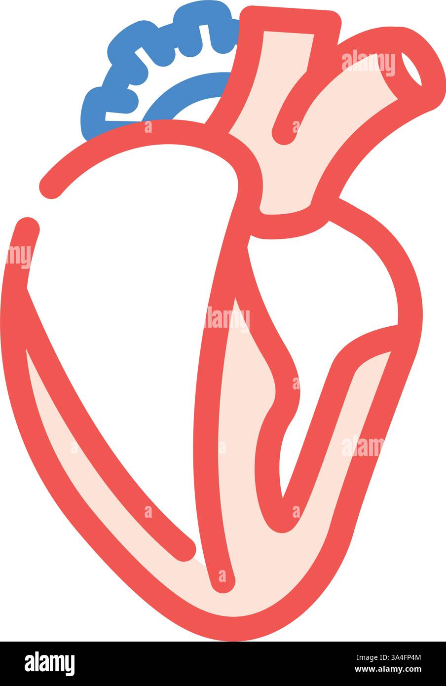 hypertrophic cardiomyopathy cardiology color icon vector illustration ...