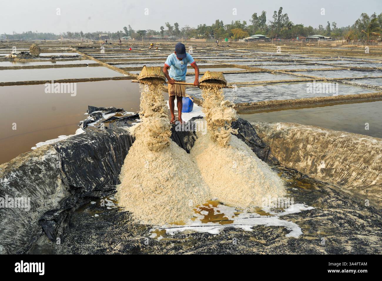 Barefoot and bent over the salt beds, laborers, including children ...