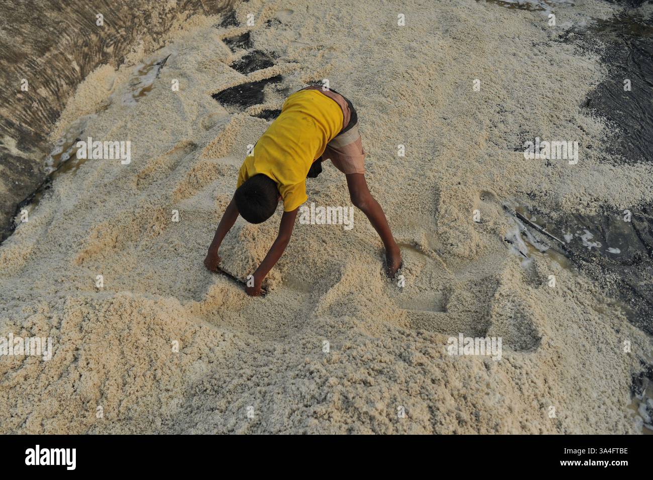 Barefoot and bent over the salt beds, laborers, including children ...