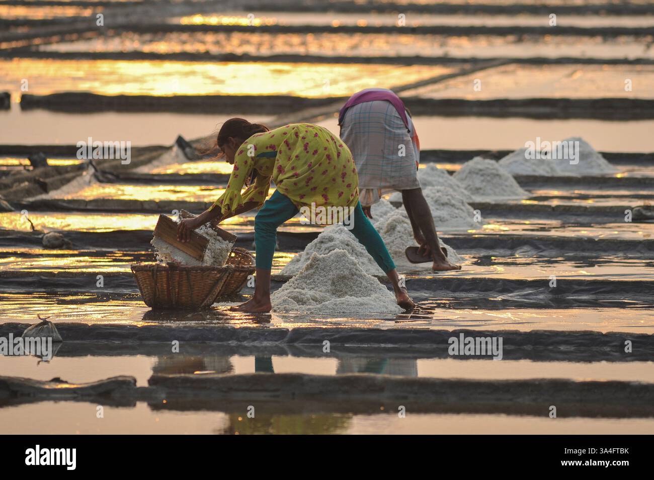 Barefoot and bent over the salt beds, laborers, including children ...