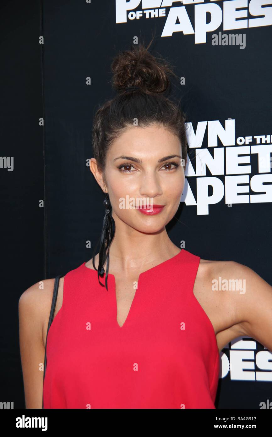 July 8, 2014 - New York, New York, U.S. - NY Special Screening of ...