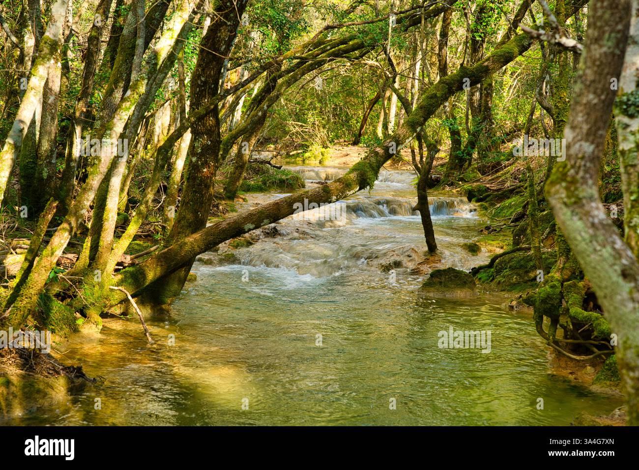 Beach of Saint-Cyr sur Mer at the Cote d'azur in France Stock Photo - Alamy