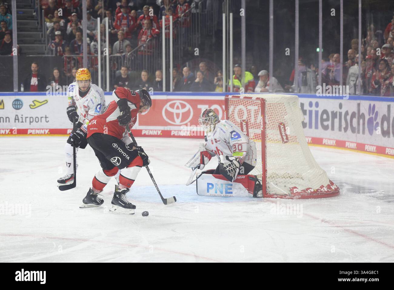 v.l. Ludwig Byström (Pinguins Bremerhaven, #17), Frederik Storm ...