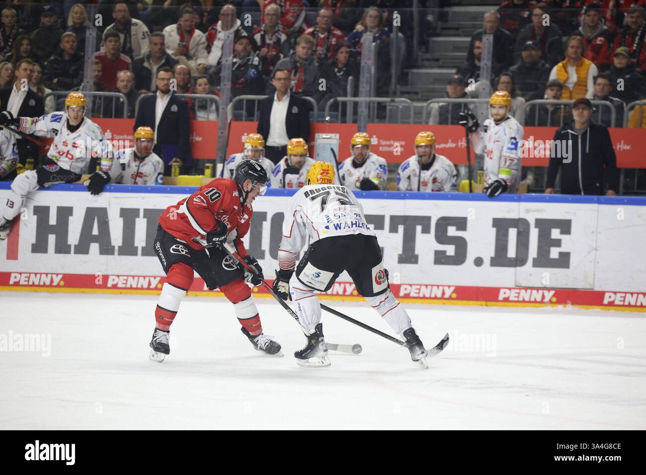 Koeln, Deutschland. 18th Mar, 2025. v.l. Justin Schütz (Koelner Haie ...