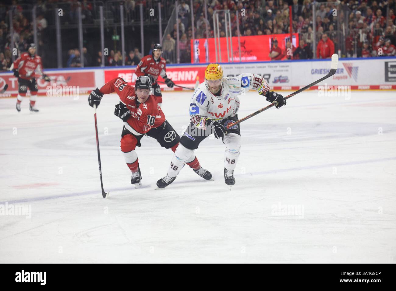 Koeln, Deutschland. 18th Mar, 2025. v.l. Justin Schütz (Koelner Haie ...