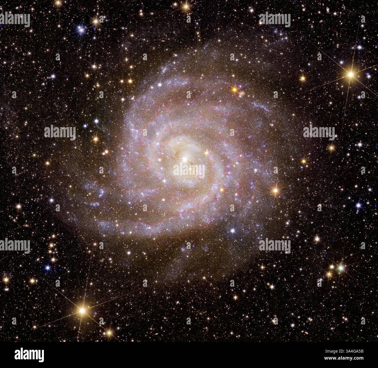 Spiral galaxy IC-342 in constellation Camelopardalis Stock Photo - Alamy