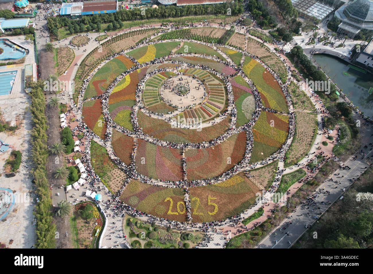 **CHINESE MAINLAND, HONG KONG, MACAU AND TAIWAN OUT** Tulip flowers ...