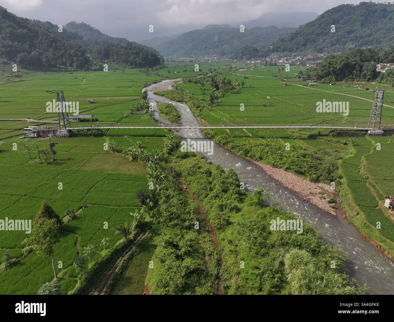 Tropical green rice fields and river, Sumedang, West Java, Indonesia ...