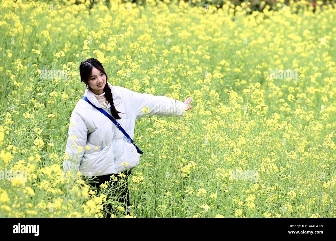 **CHINESE MAINLAND, HONG KONG, MACAU AND TAIWAN OUT** Spring flowers ...
