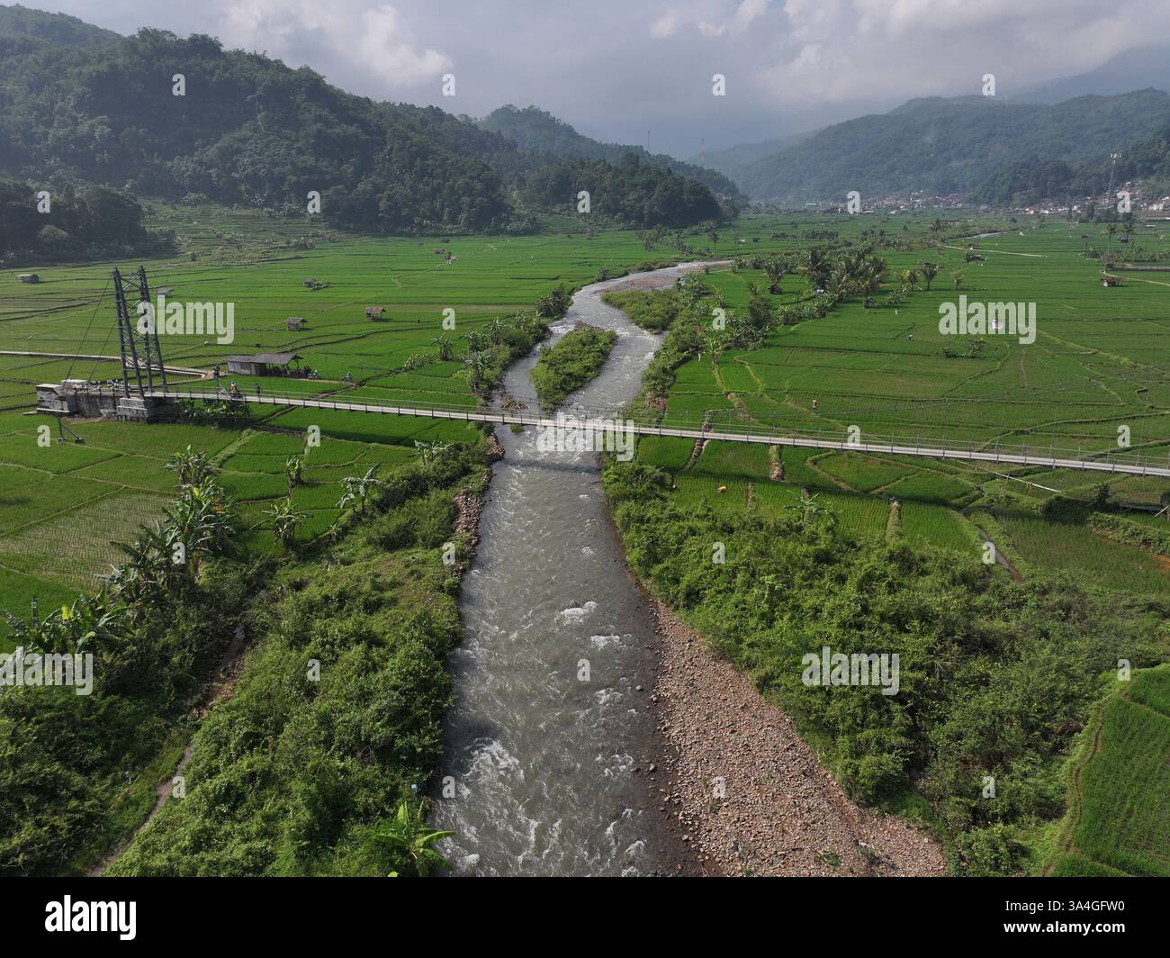 Tropical green rice fields and river, Sumedang, West Java, Indonesia ...