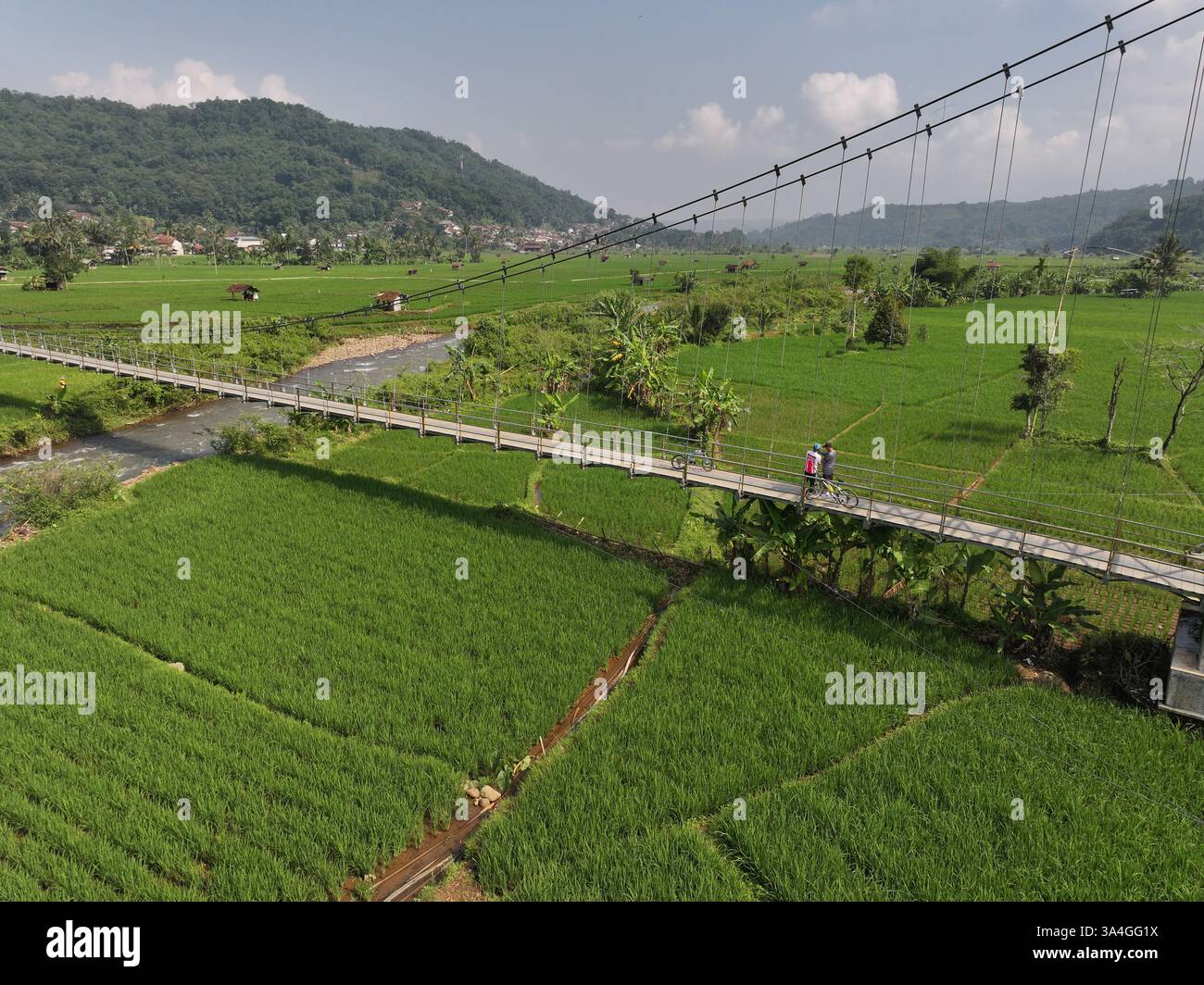 Tropical green rice fields and river, Sumedang, West Java, Indonesia ...
