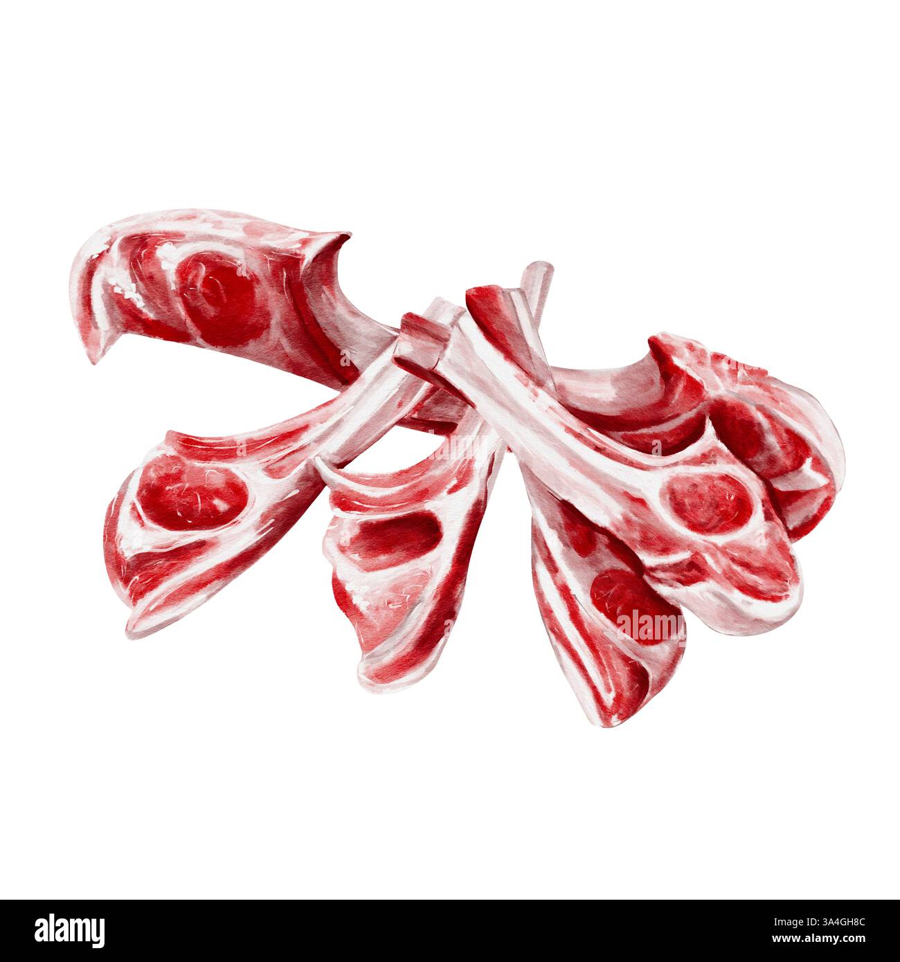 Lots of meat on the bone. Ribs for grill and barbecue. Raw meat ...