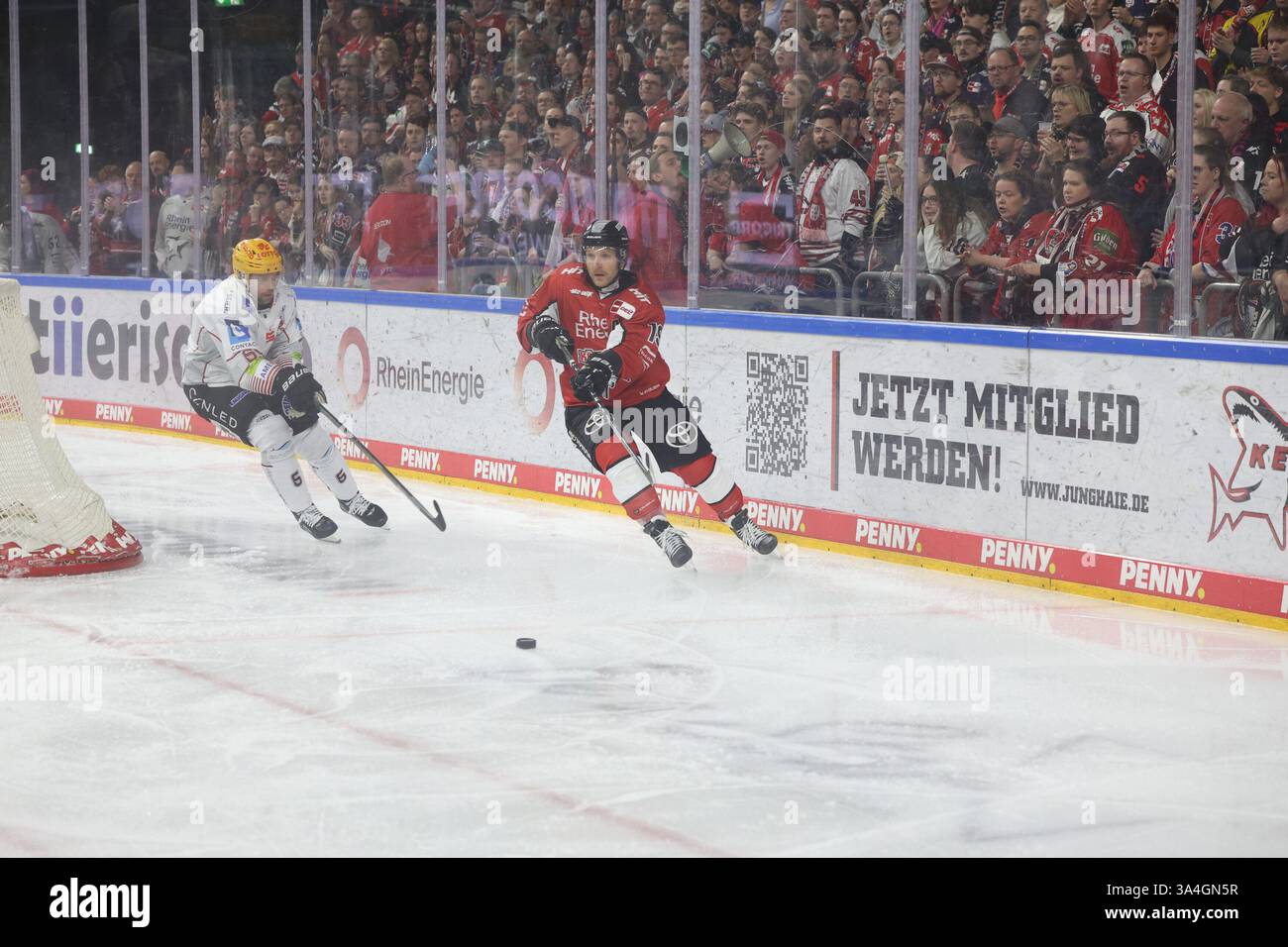 Koeln, Deutschland. 18th Mar, 2025. v.l. Moritz Wirth (Pinguins ...