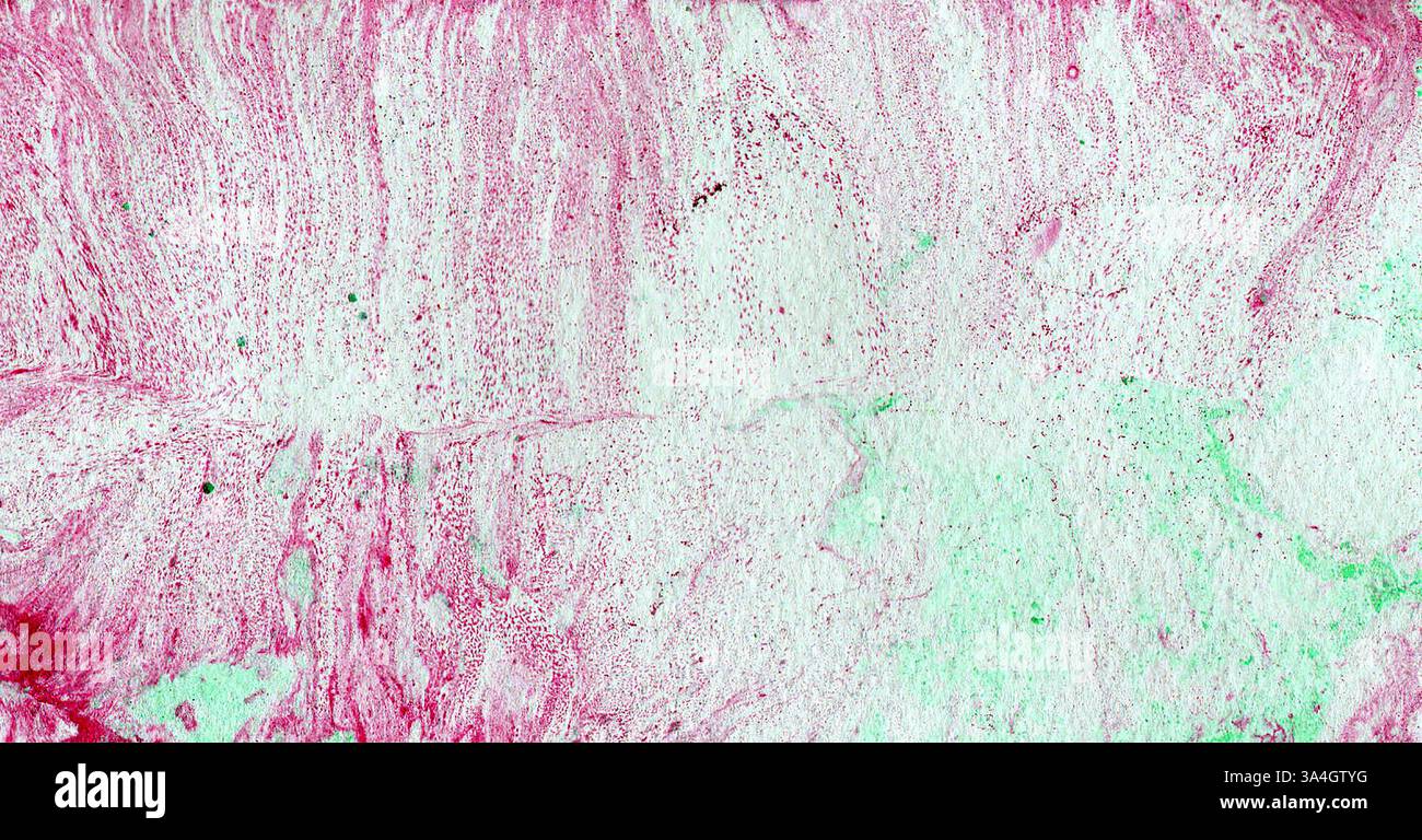 Abstract background. Pink fuchsia spots and blur on white. Occasional ...