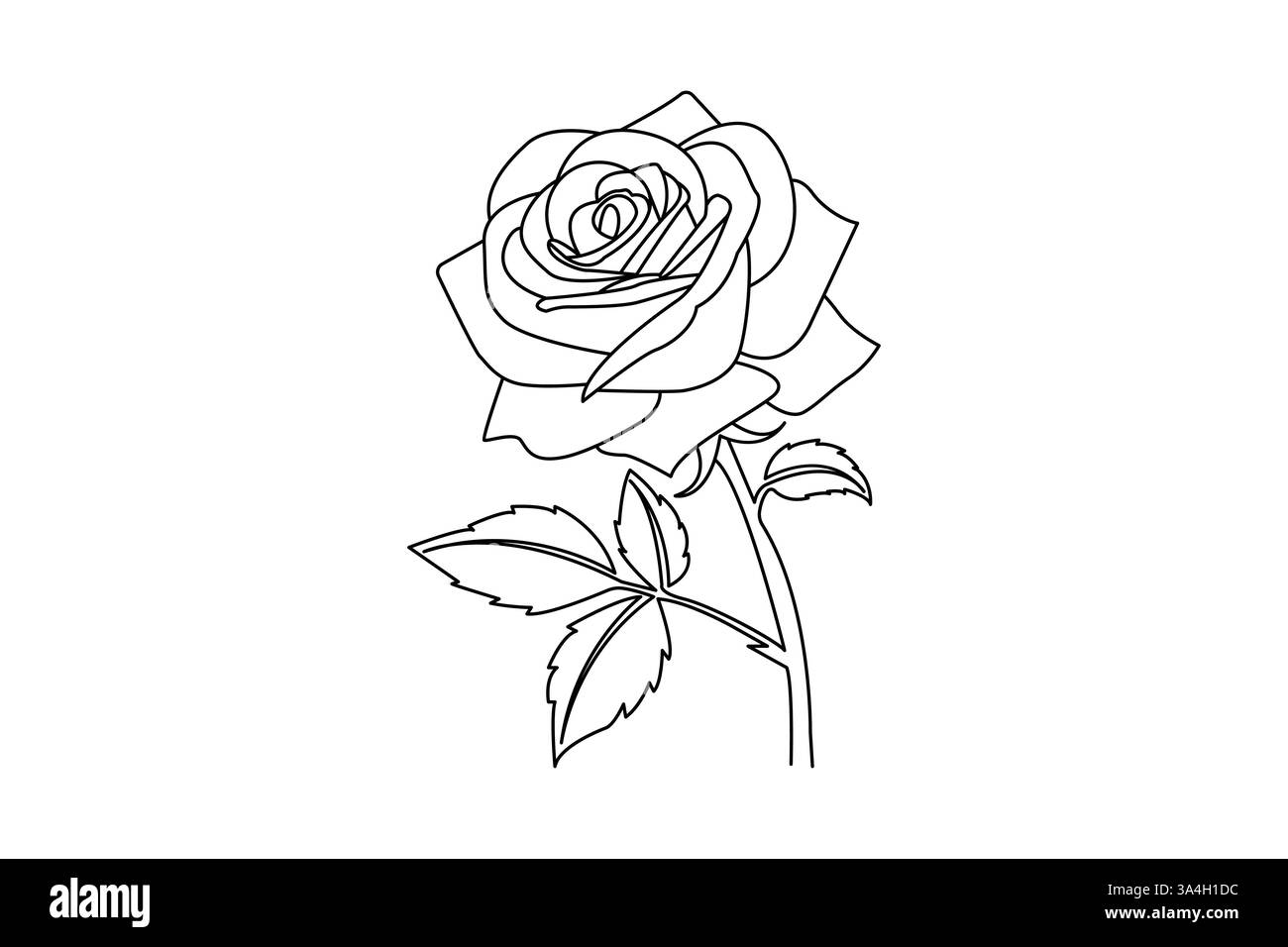 Rose one line drawing concept of beautiful floral for love greeting ...