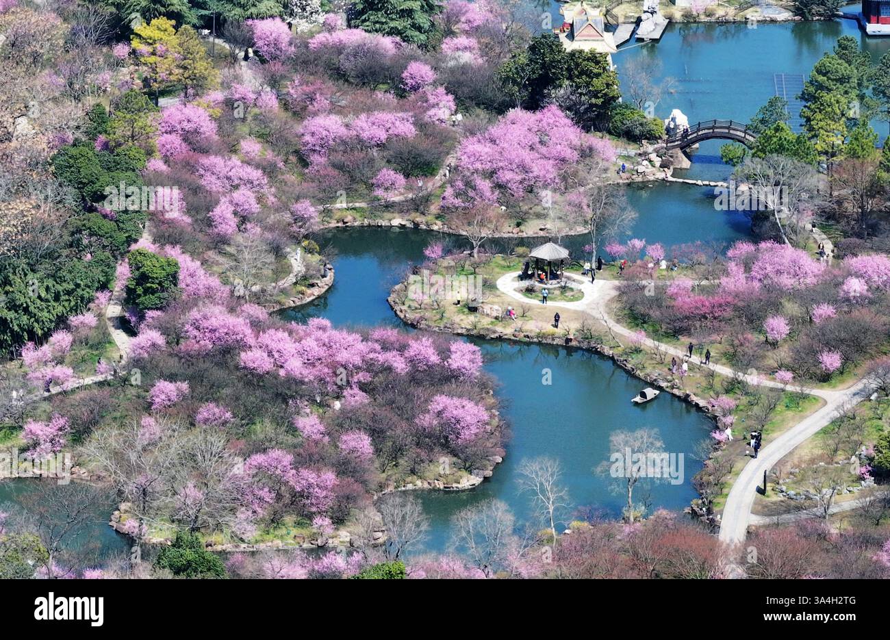Aerial photo shows the spring scenery of the Slender West Lake scenic ...