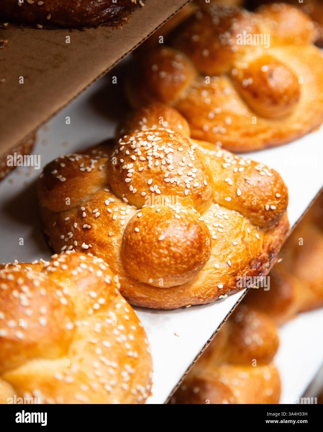 Traditional Mexican bread of the dead for the Day of the Dead ...